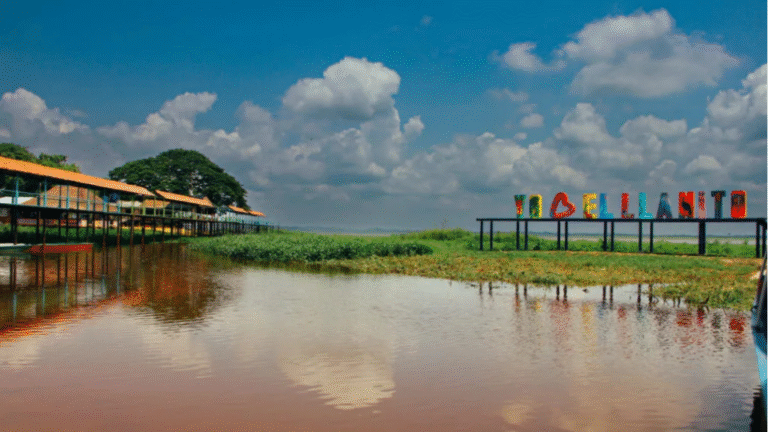 El Llanito estrena videovigilancia con conexión directa al Distrito ...